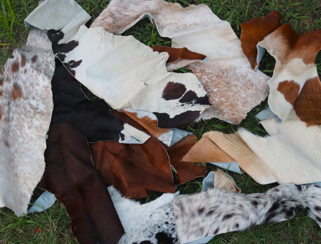 Cowhide Scrap Pieces 1 Kg Bag of Cowhide Scrap Material Hair on Hide ...