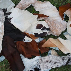 Cowhide Scrap Pieces - 1 Kg Bag of Cowhide Scrap Material - Hair on ...
