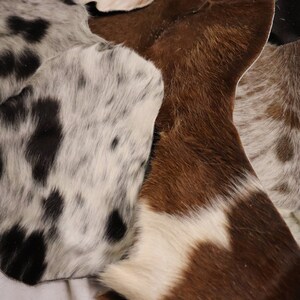 Cowhide Scraps - Cow Hide Offcut Pieces - Cowhide Material for Crafting ...