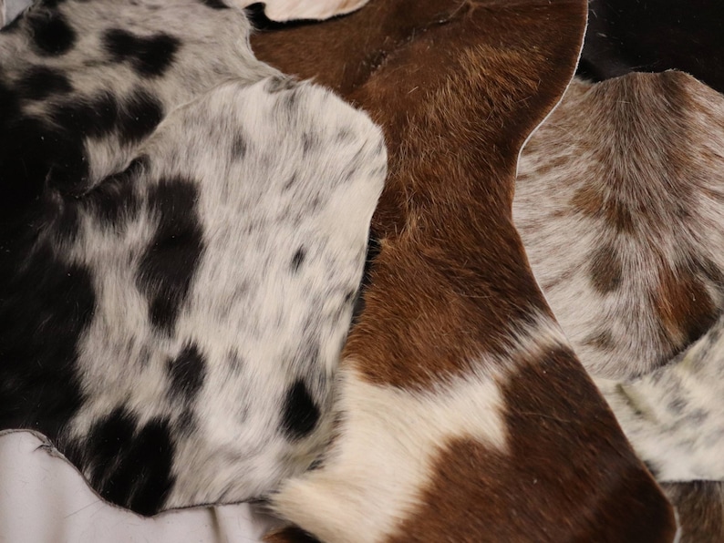 Cowhide Scraps - Cow Hide Offcut Pieces - Cowhide Material for Crafting ...