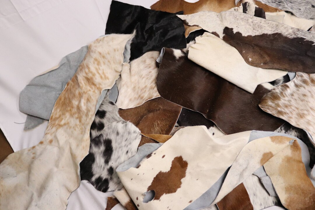 Cowhide Scraps - Cow Hide Material Offcuts - Cowhide Pieces for Arts ...