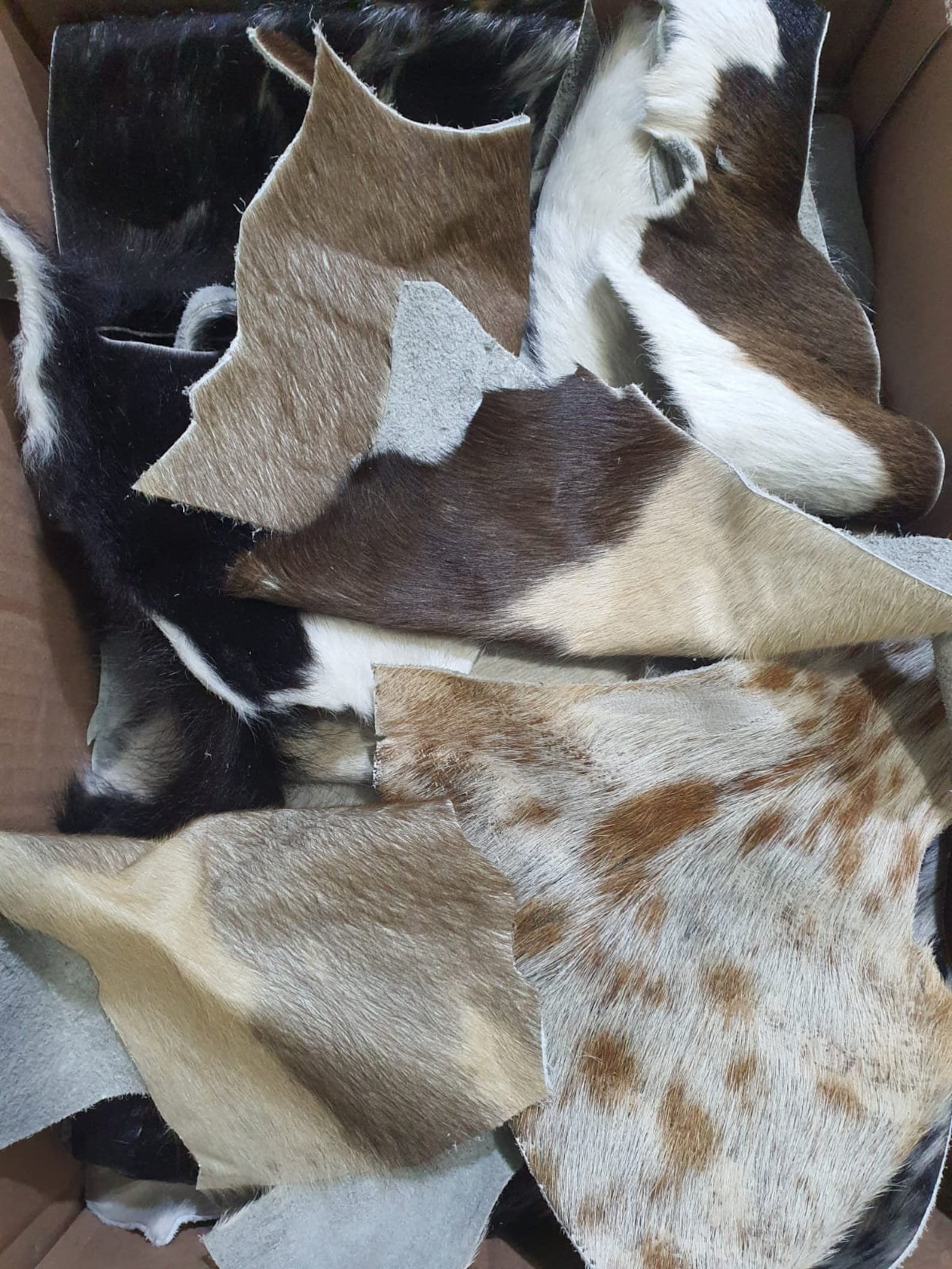 1 Kg Free Cowhide Scrape - Cowhide Upholstery Projects Material - Hair ...