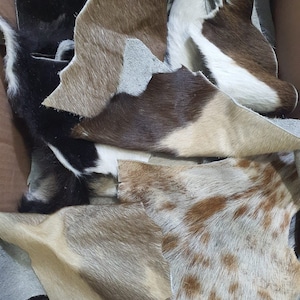 1 Kg Free Cowhide Scrape - Cowhide Upholstery Projects Material - Hair ...