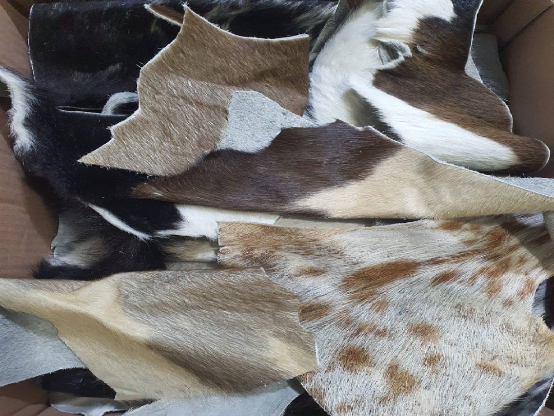 1 Kg Free Cowhide Scrape - Cowhide Upholstery Projects Material - Hair ...