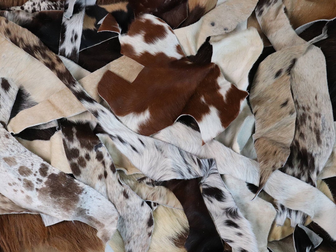 Cowhide Scraps, Cow Hide Upholstery Projects Material, Mixed Random ...