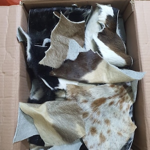 1 Kg Free Cowhide Scrape - Cowhide Upholstery Projects Material - Hair ...