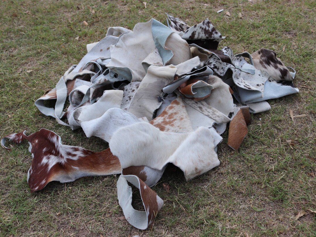 Cowhide Scrap, Cow Hide Offcut Pieces, Cow Skin Pieces for Upholstery ...