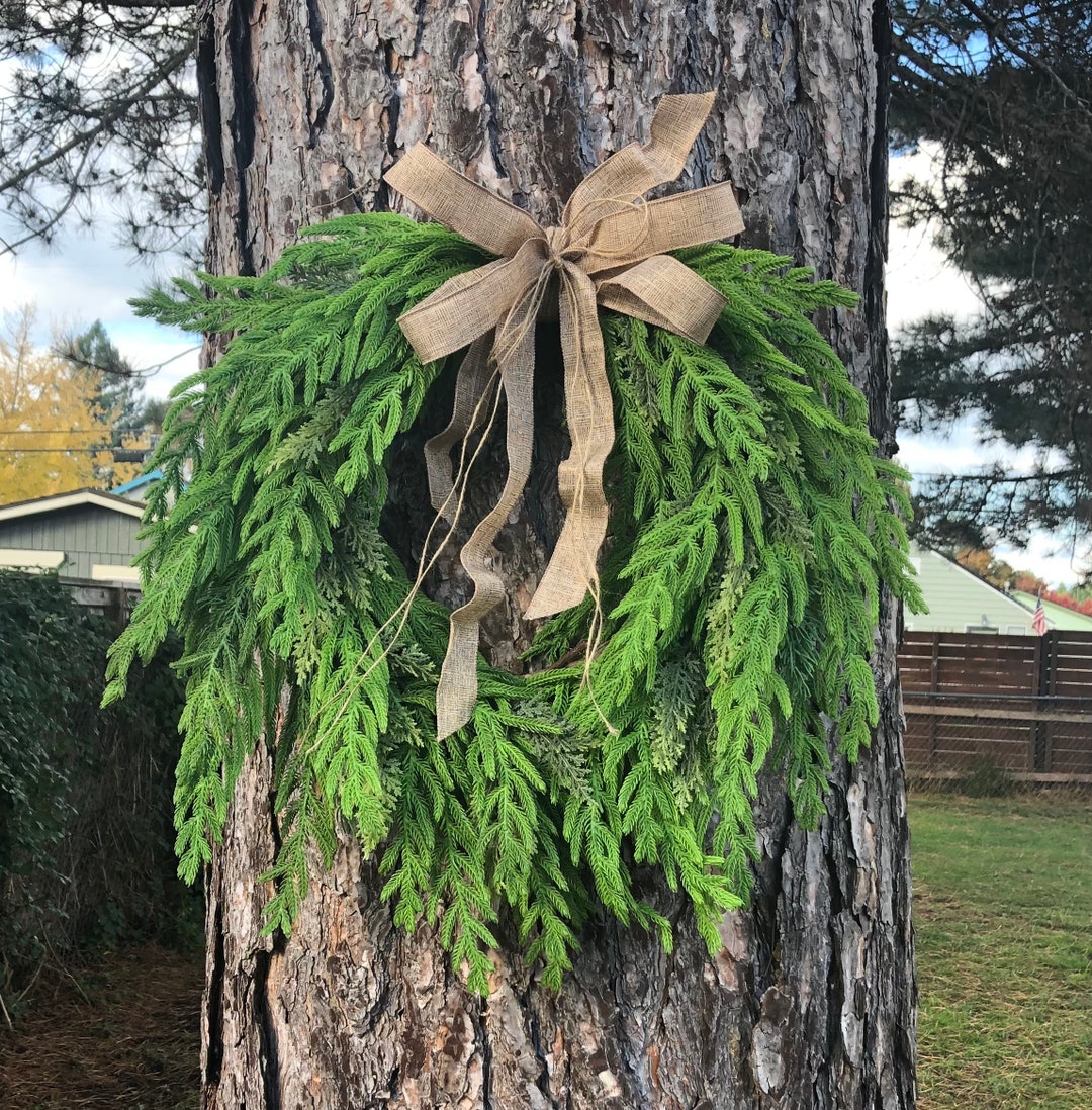 Cascading Norfolk Pine Wreath, Christmas Wreath, Holiday Wreath, Winter ...