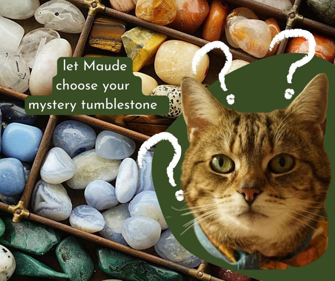 Let Maude the Cat Choose Your Mystery Crystal Tumblestone - Etsy UK