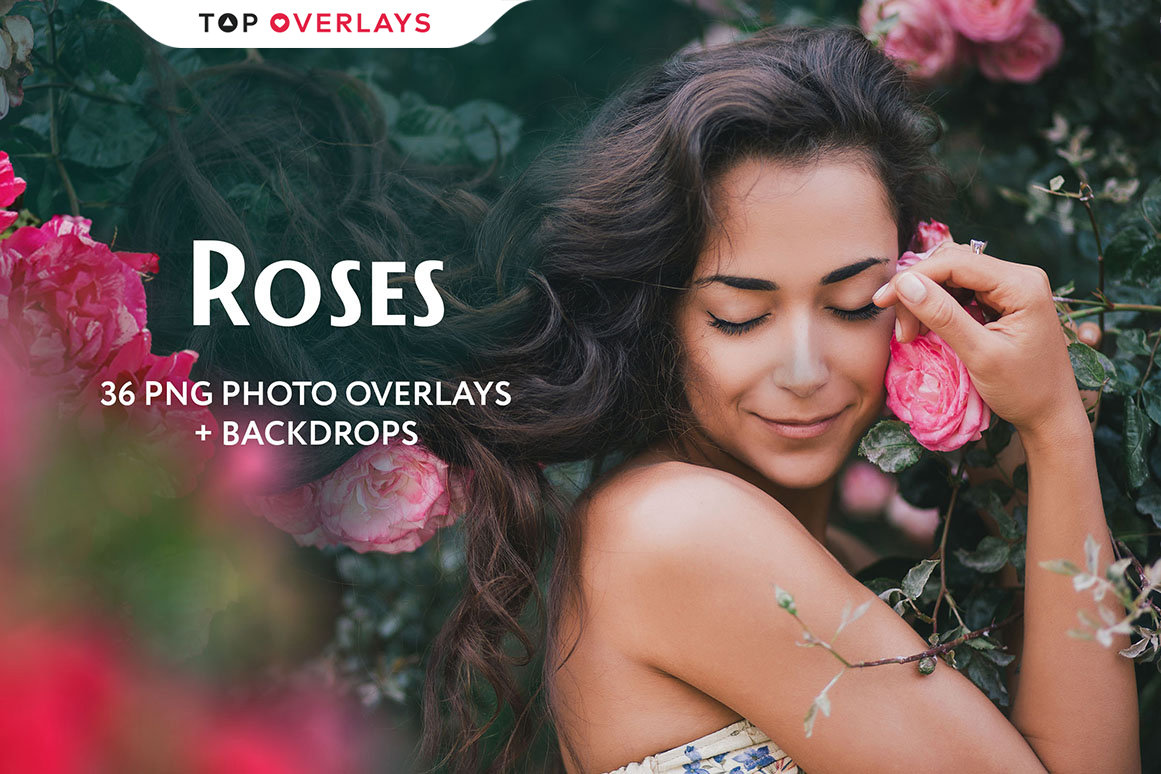 36 Rose Photo Overlays, Photoshop Overlay, Digital Overlay, Flower ...