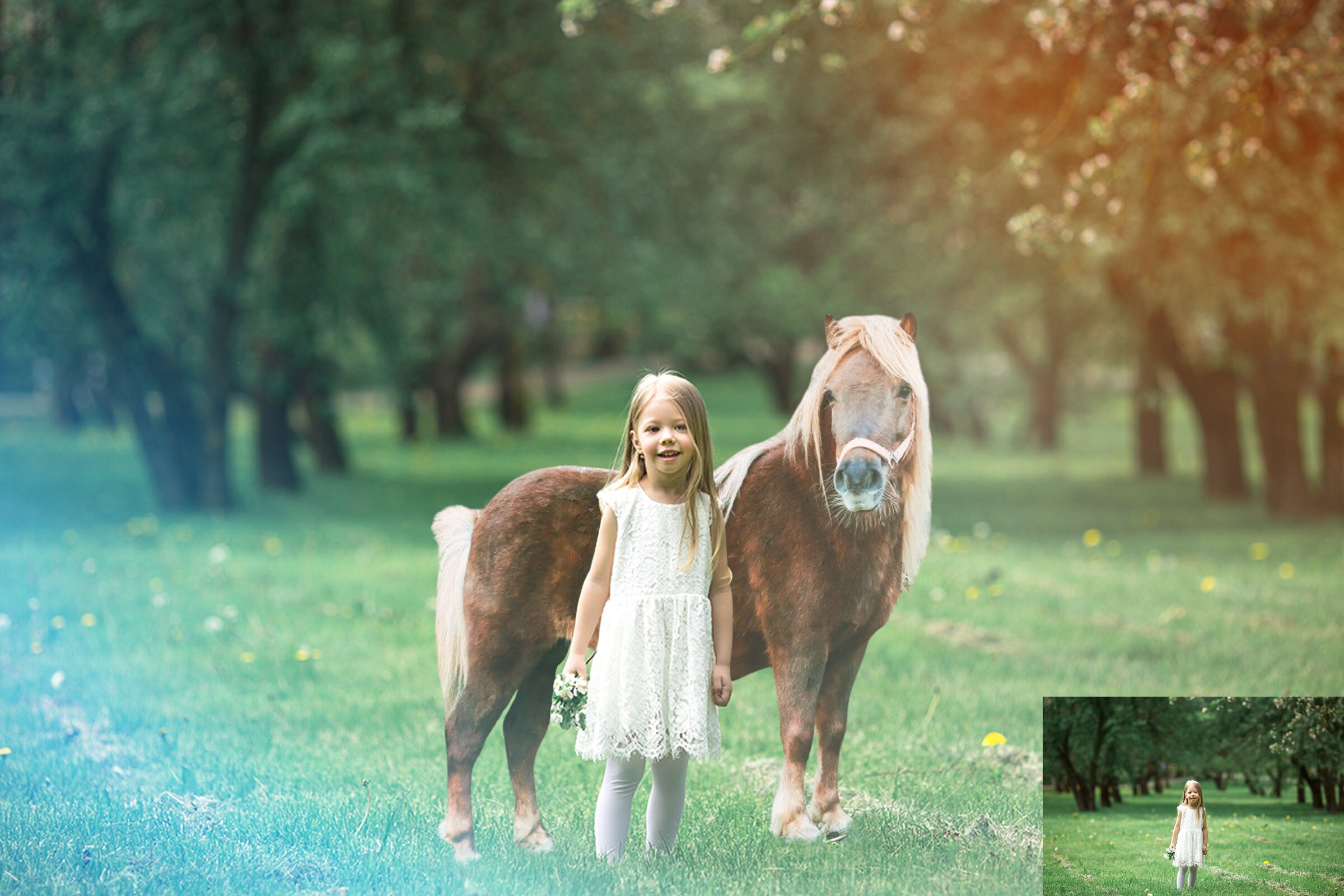 31 Pony Photo Overlays, Photoshop Overlay, Digital Overlay, Forest ...