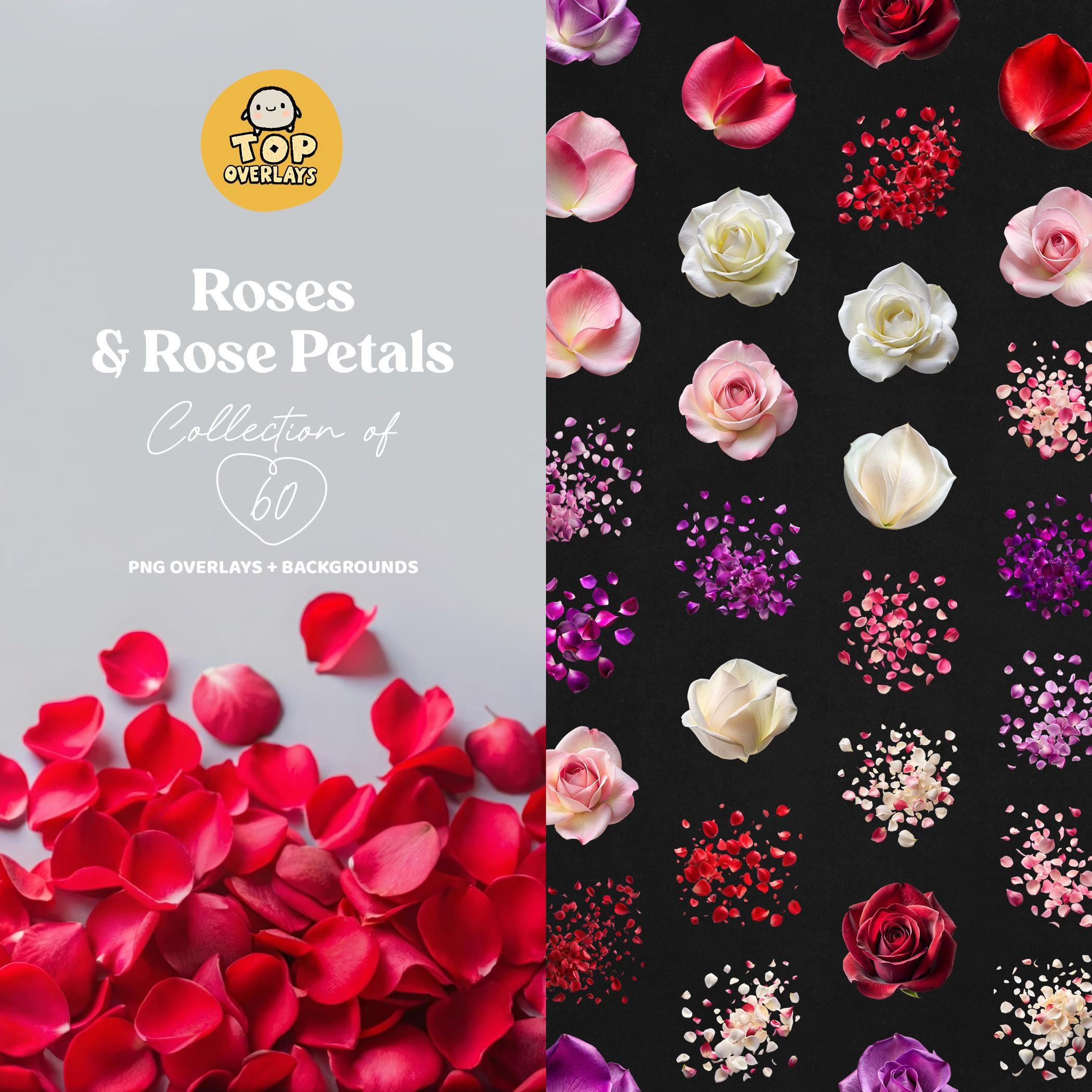 60 Roses and Rose Petals PNG Photo Overlays – Add a Romantic Touch to ...
