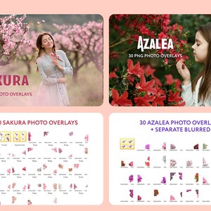 300+ Flower Photo Overlays PNG Complete Bundle. Adobe Photoshop Actions ...