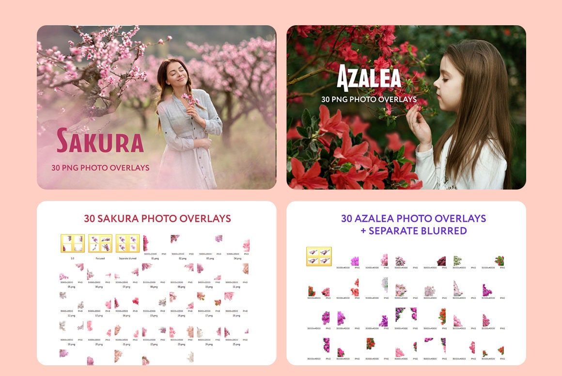 300 Flower Photo Overlays PNG Complete Bundle. Adobe Photoshop Actions ...