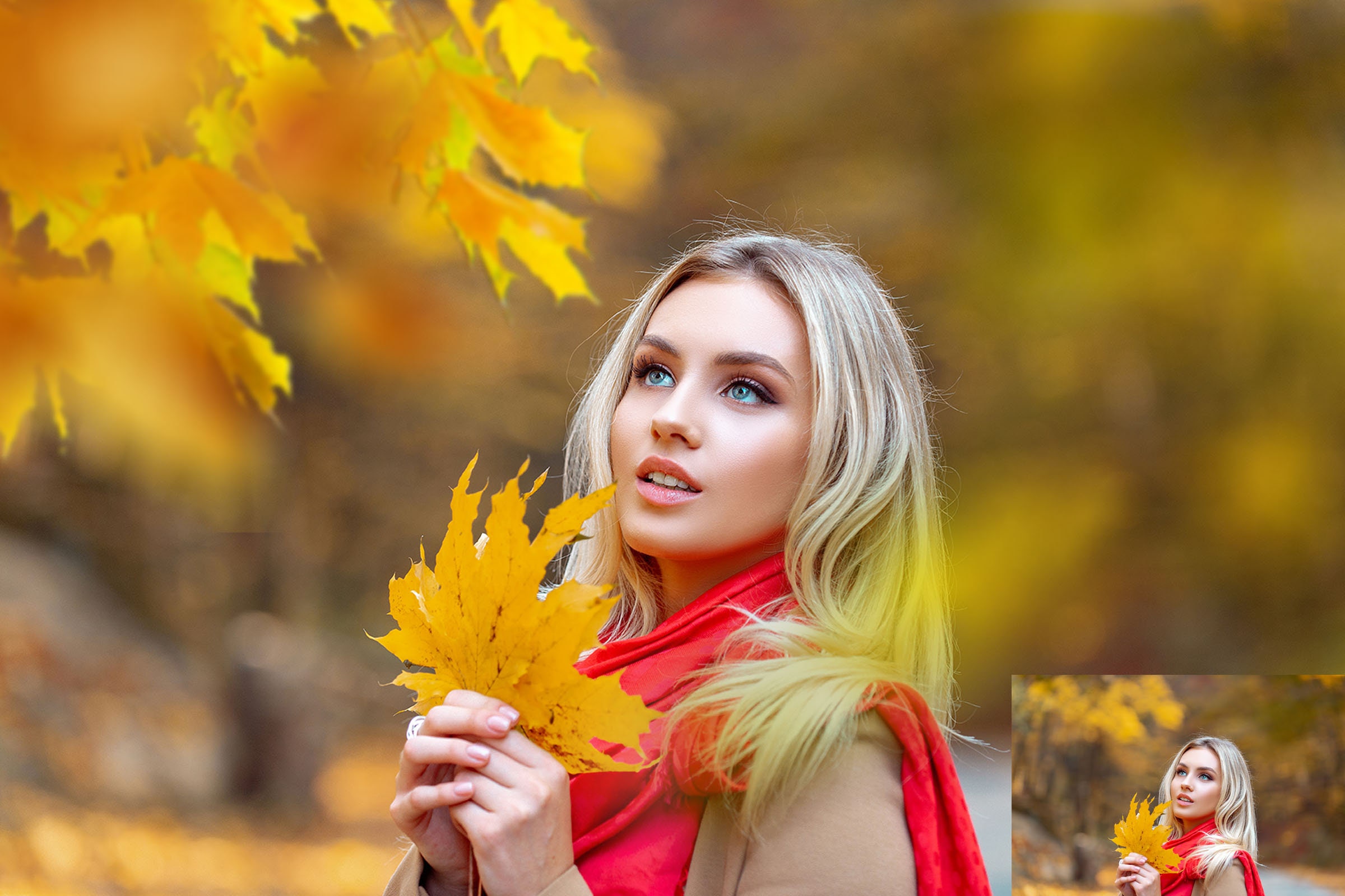 30 Autumn Branch Photo Overlays, Photoshop Overlay, Digital Overlay ...