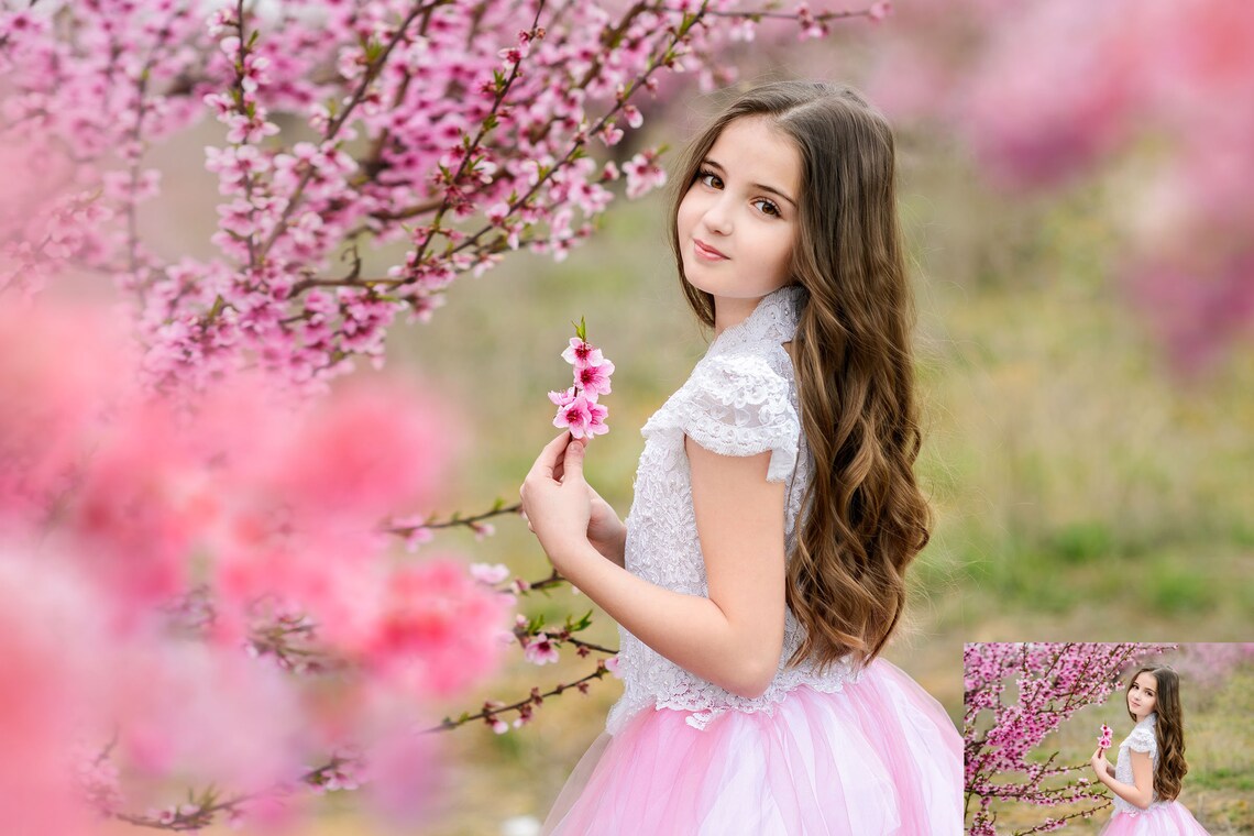 30 Sakura Photo Overlays, Photoshop Overlay, Digital Overlay, Flower ...