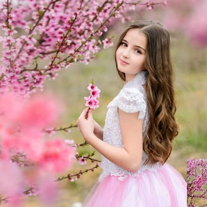 30 Sakura Photo Overlays, Photoshop Overlay, Digital Overlay, Flower ...