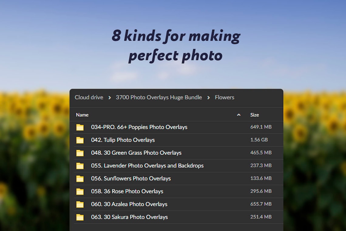 300+ Flower Photo Overlays PNG Complete Bundle. Adobe Photoshop Actions ...