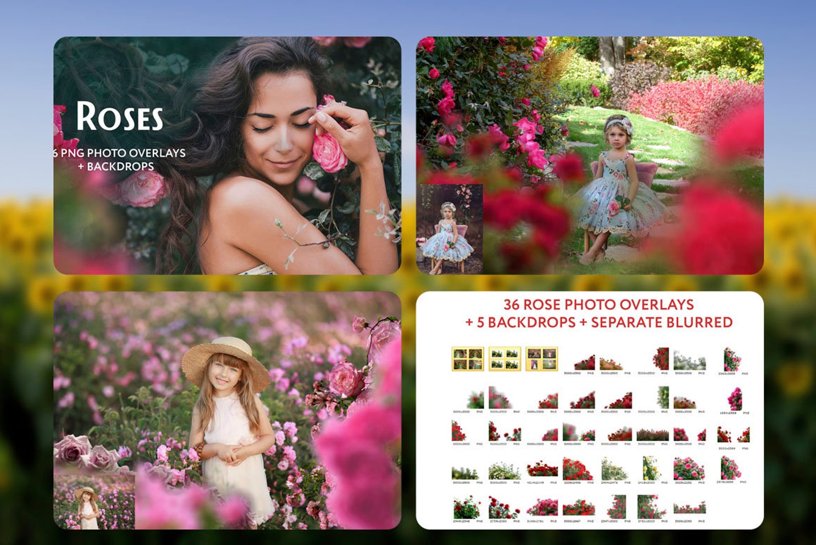 300+ Flower Photo Overlays PNG Complete Bundle. Adobe Photoshop Actions ...