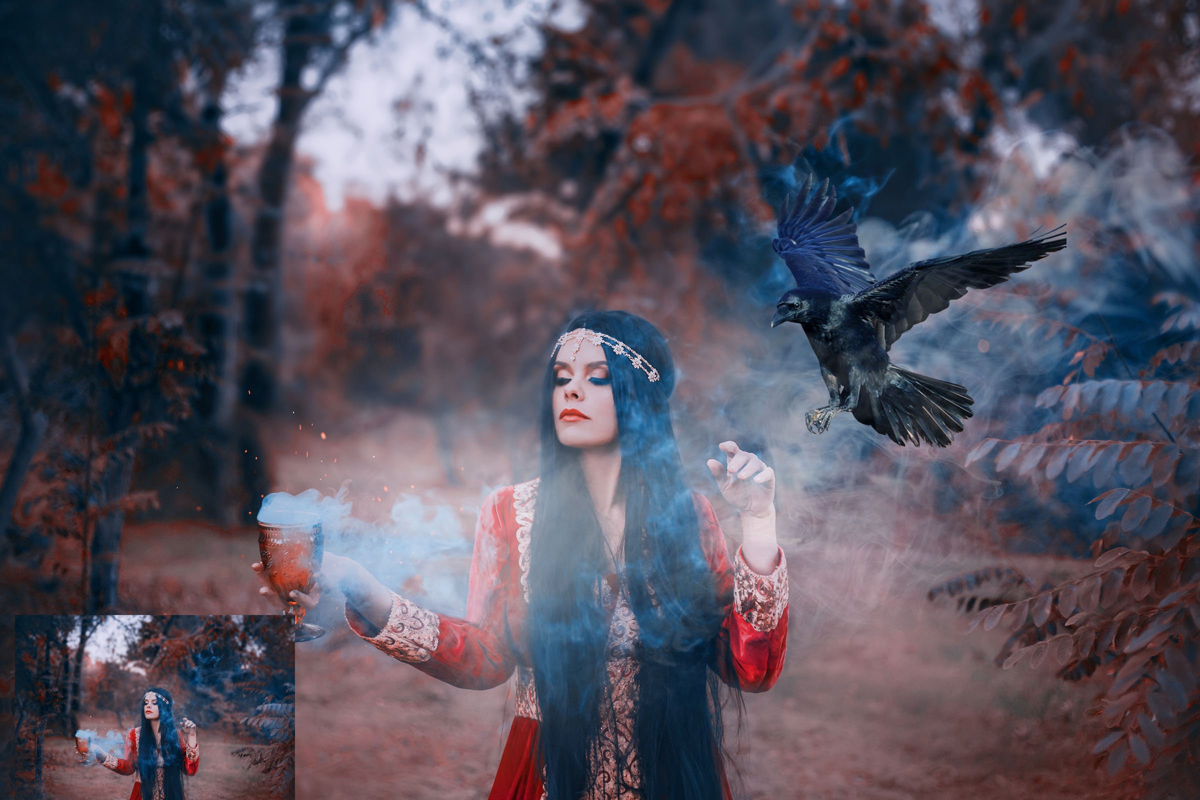 25 Ravens Photo Overlays, Crow Birds, Photoshop Overlay, Digital ...