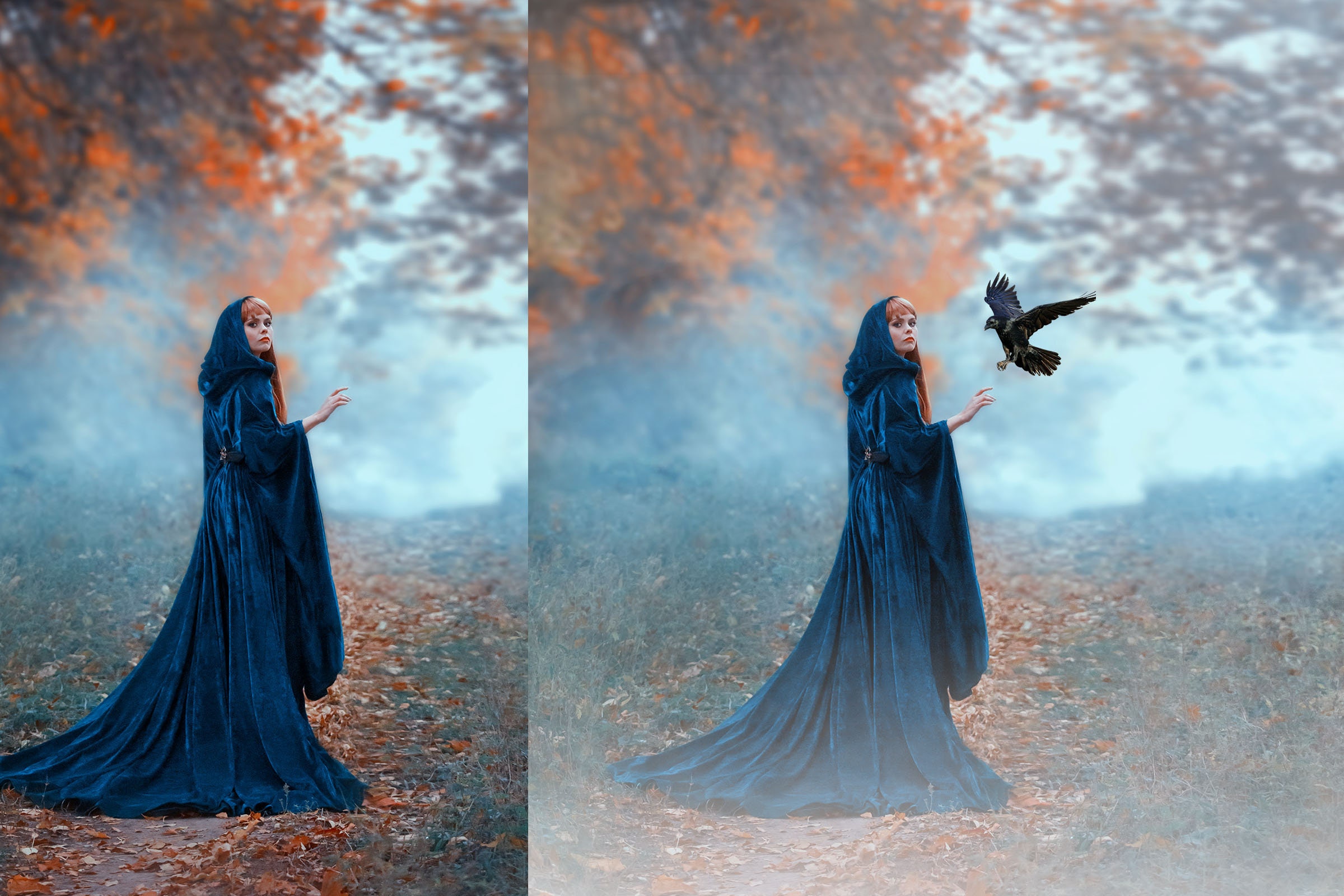 25 Ravens Photo Overlays, Crow Birds, Photoshop Overlay, Digital ...