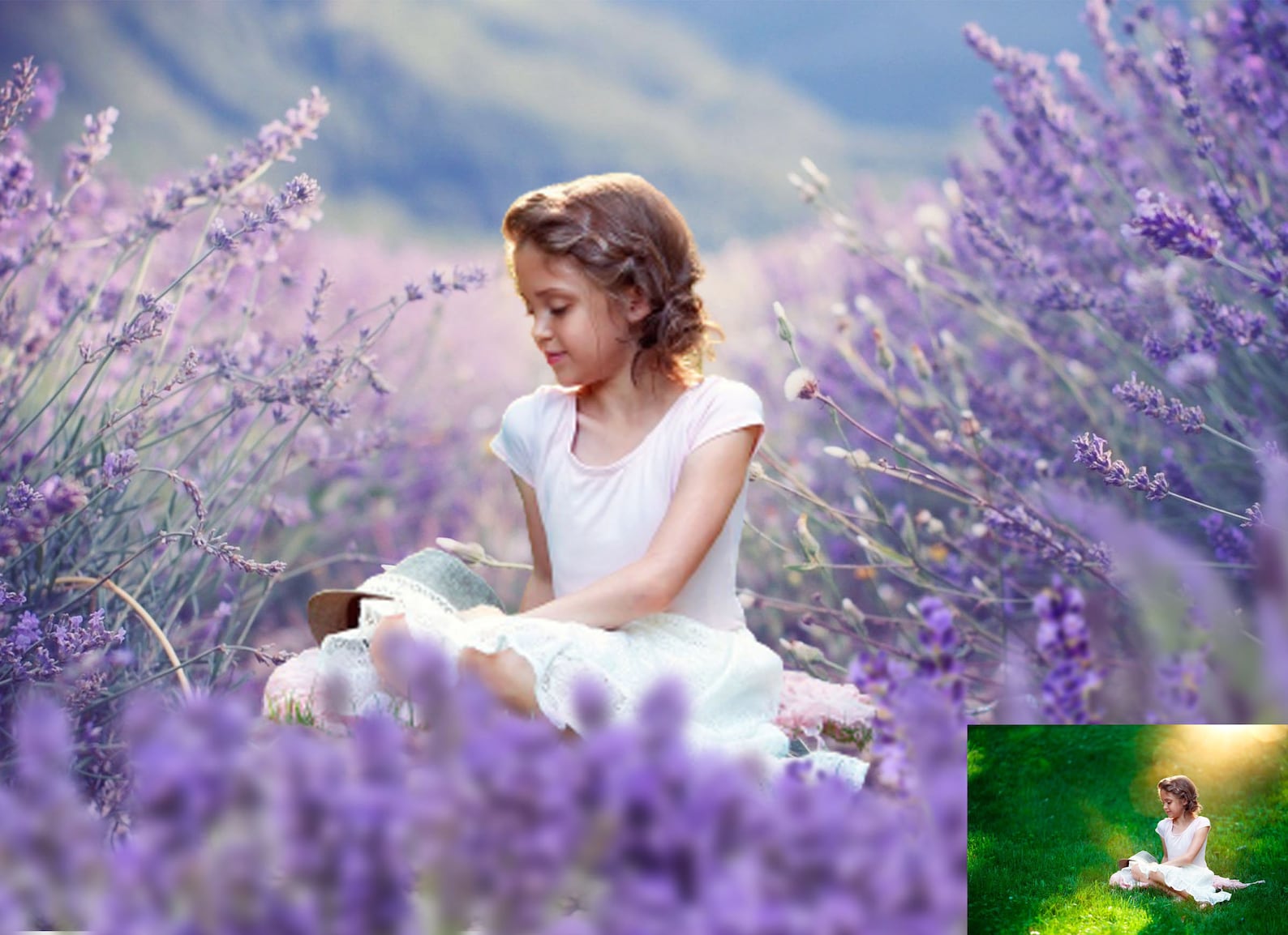 30 Lavender Photo Overlays, Flower Overlays Png, Photo Overlays ...