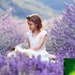 30 Lavender Photo Overlays, Flower Overlays Png, Photo Overlays ...