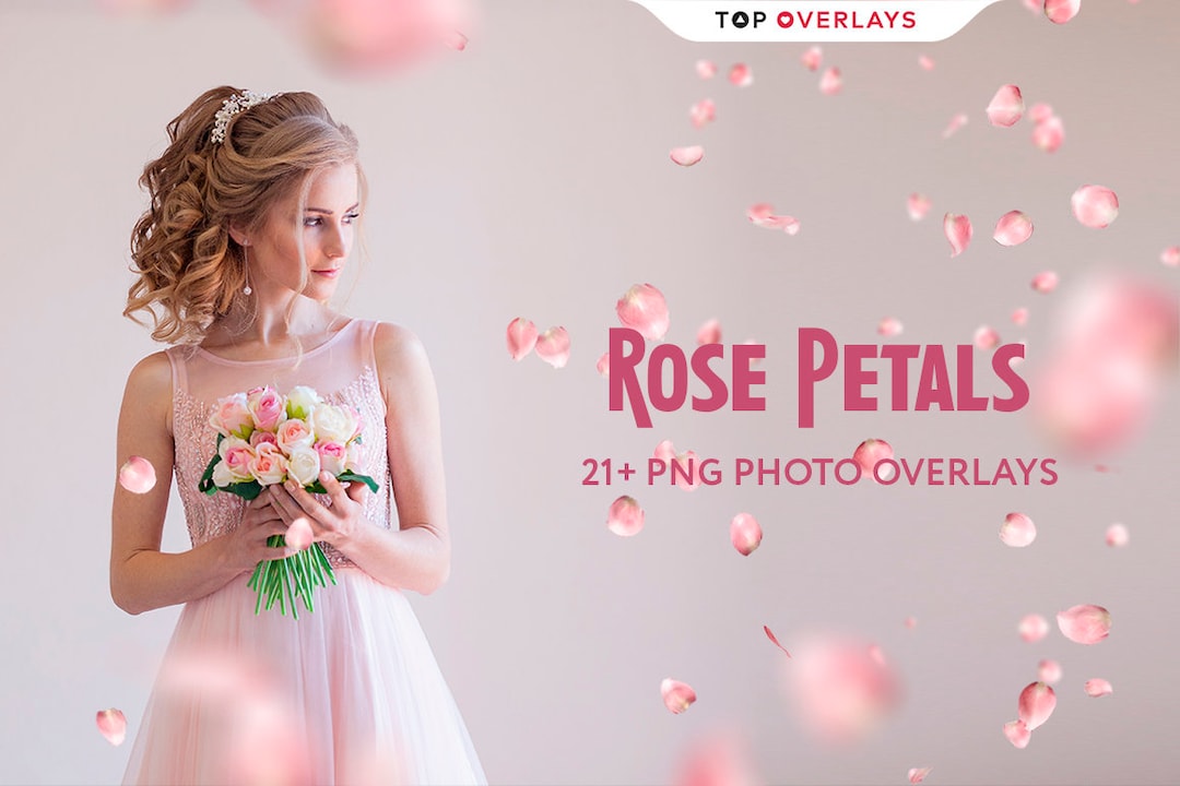 21 Rose Petals Photo Overlays, Red Rose, Pink Rose, Petal Overlays ...