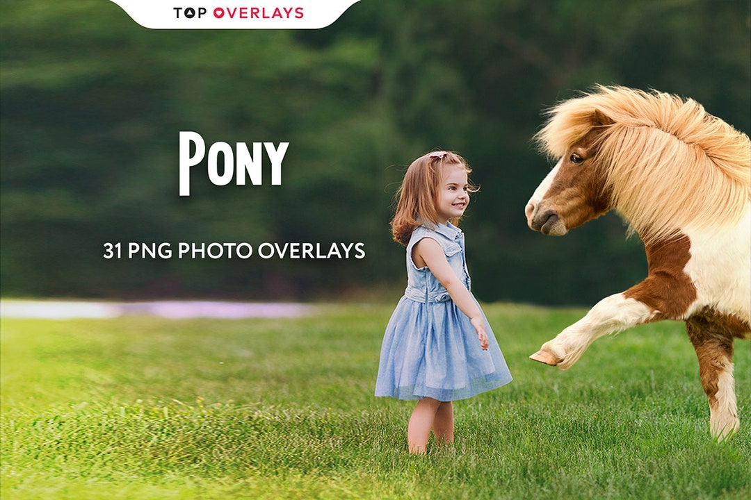 31 Pony Photo Overlays, Photoshop Overlay, Digital Overlay, Forest ...