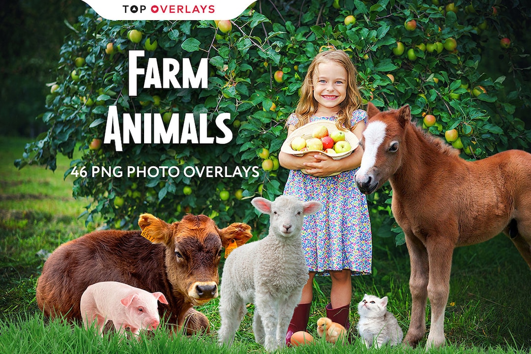 46 Farm Animals Photo Overlays, Photoshop Overlay, Digital Overlay ...