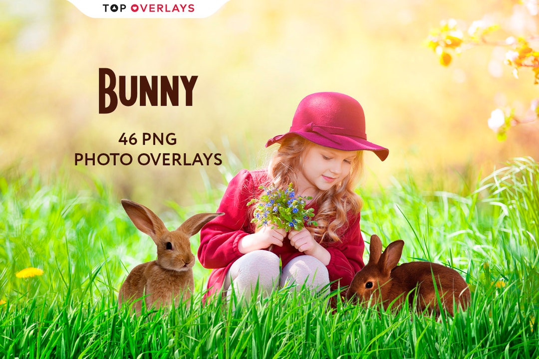 46 Bunny Photo Overlays, Photo Overlays, Baby Photo Overlays, Animal ...
