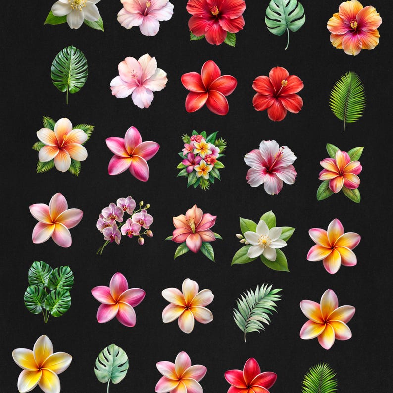 43 Tropical Plants and Flowers PNG Photo Overlays - Exotic and Vibrant ...