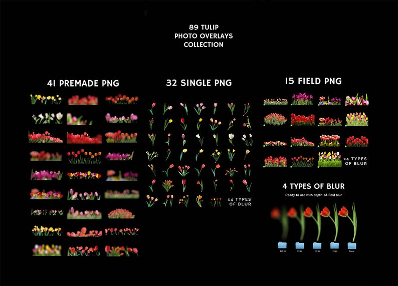 89 Tulip Photo Overlays, Flower Overlays Photoshop, Flower Overlays for ...