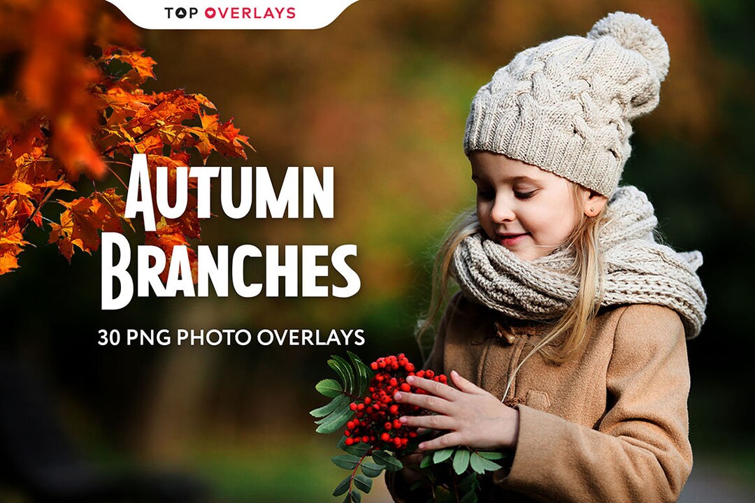 30 Autumn Branch Photo Overlays, Photoshop Overlay, Digital Overlay ...