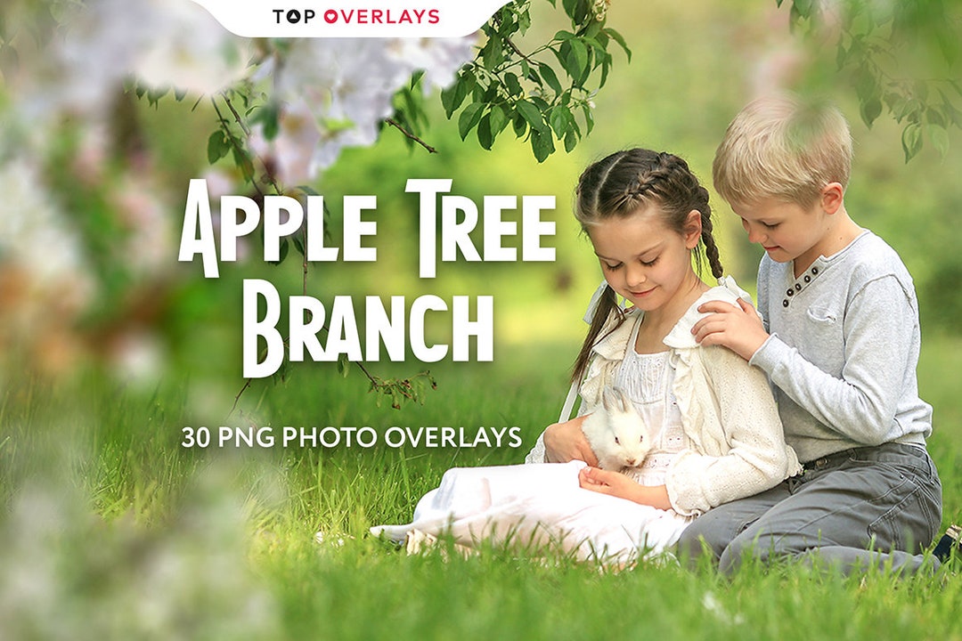 30 Apple Tree Branch Photo Overlays, Photoshop Overlay, Digital Overlay ...