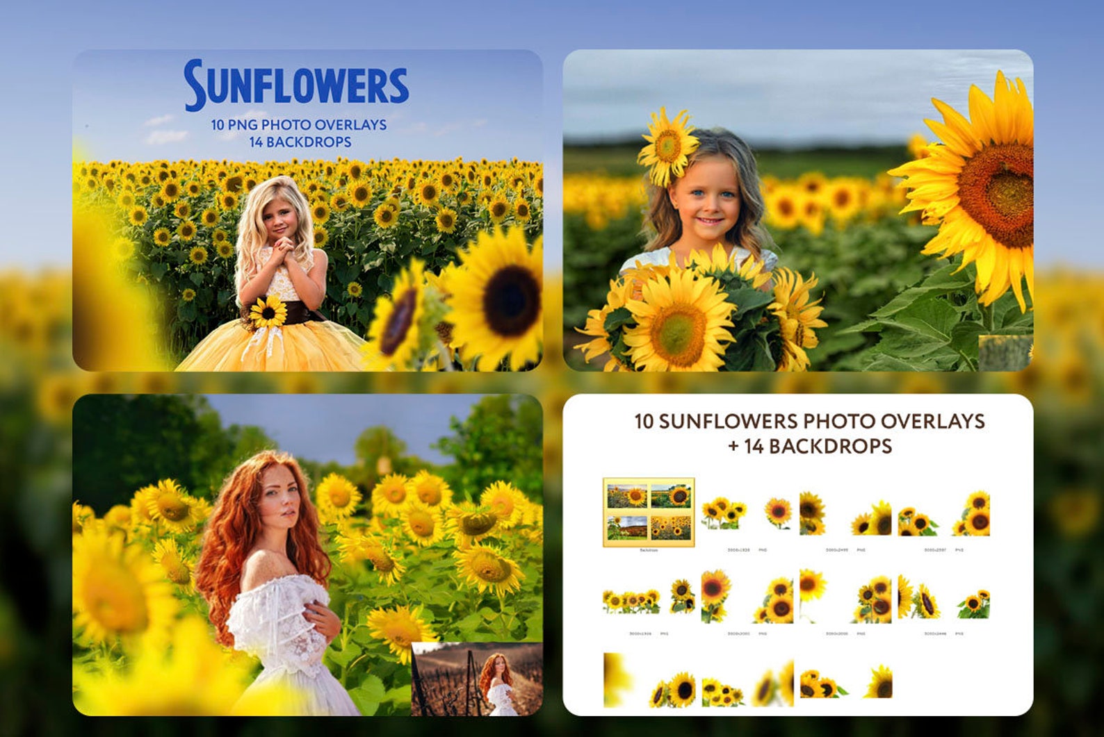 300+ Flower Photo Overlays PNG Complete Bundle. Adobe Photoshop Actions ...