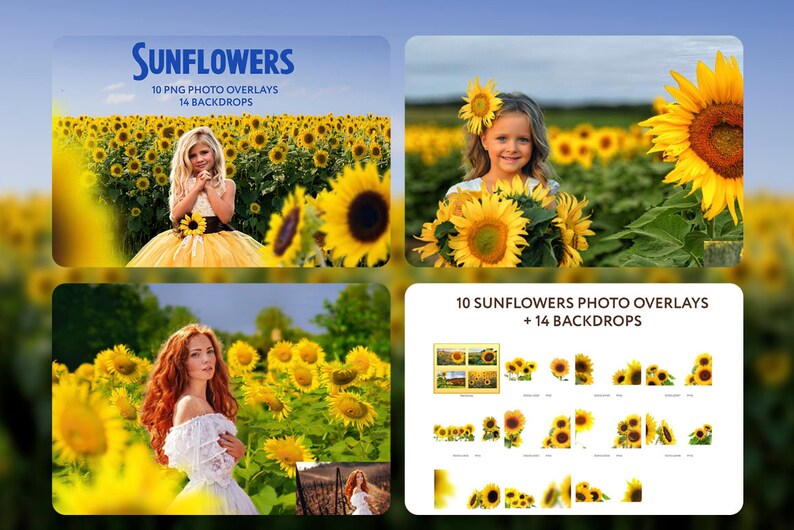 300+ Flower Photo Overlays PNG Complete Bundle. Adobe Photoshop Actions ...