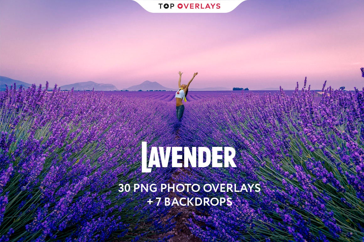 30 Lavender Photo Overlays, Flower Overlays Png, Photo Overlays ...