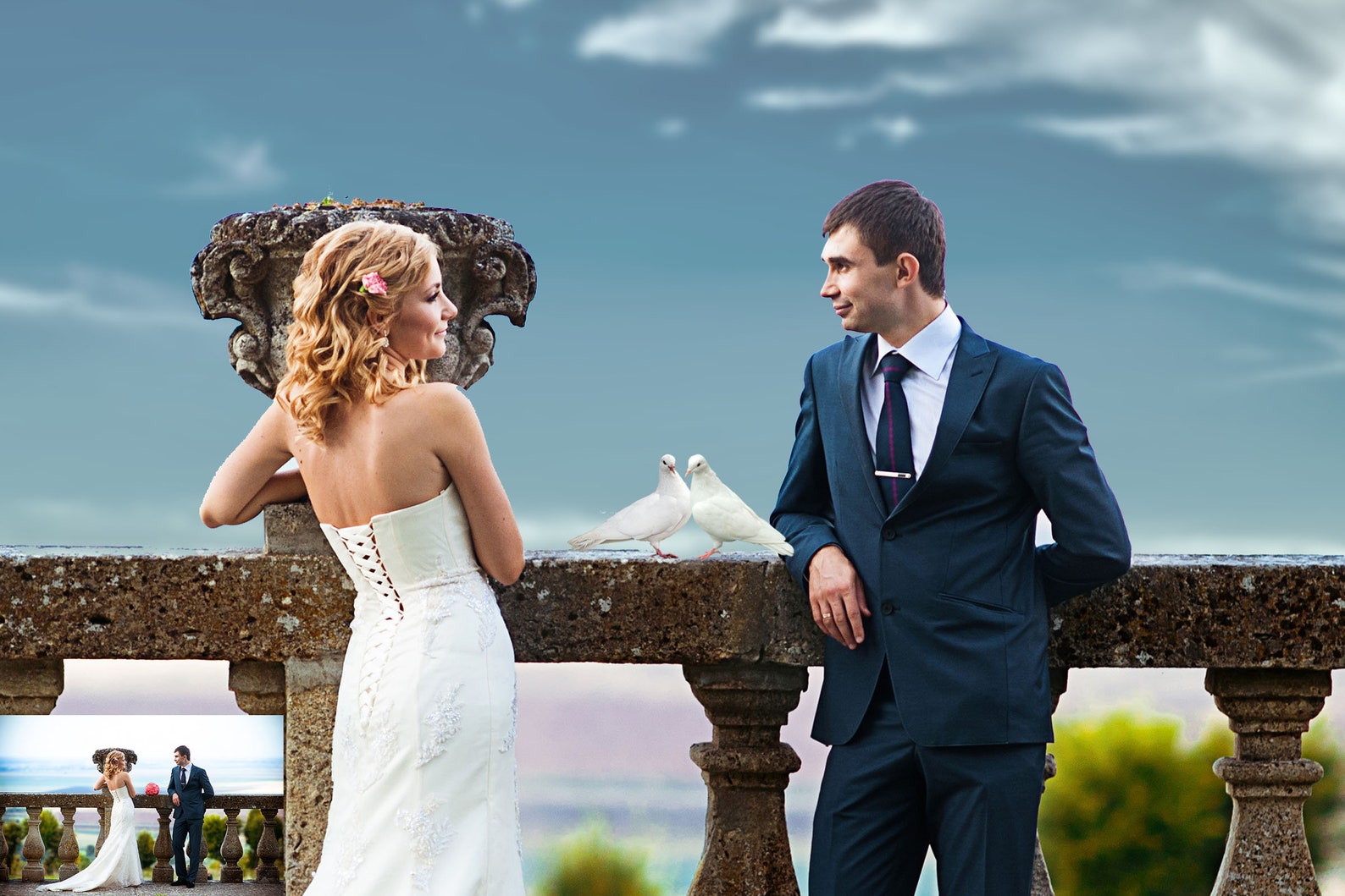 34 Dove Photo Overlays, Dove Birds, Photoshop Overlay, Digital Overlay ...