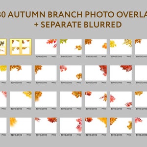 30 Autumn Branch Photo Overlays, Photoshop Overlay, Digital Overlay ...
