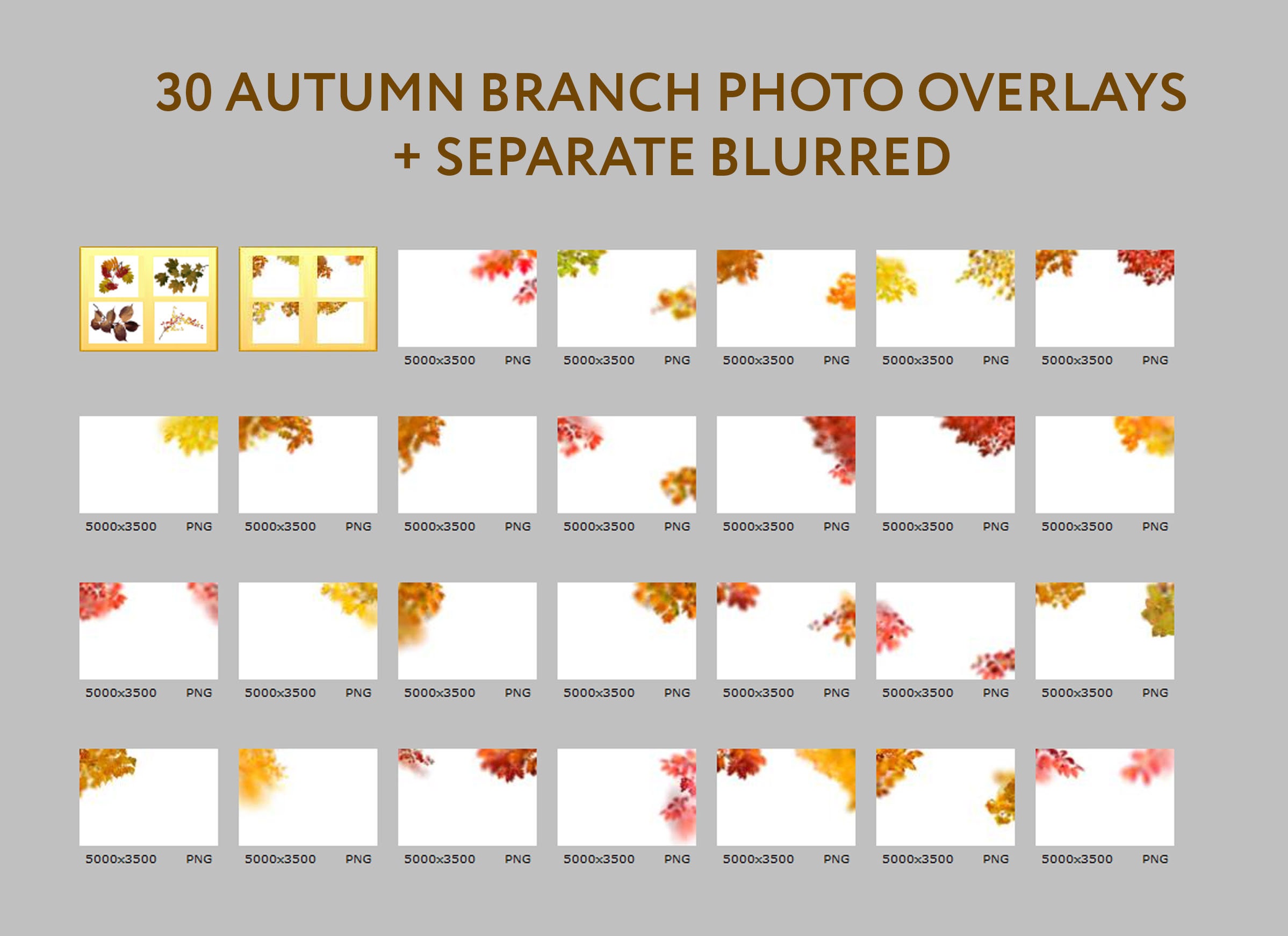 30 Autumn Branch Photo Overlays Photoshop Overlay Digital - Etsy