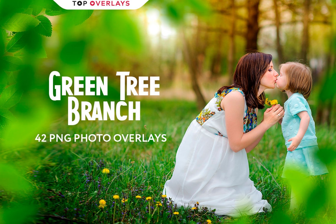 42 Green Tree Branch Photo Overlays, Branches, Tree Branches, Photo ...