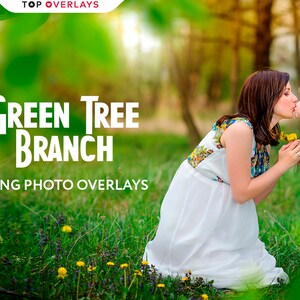 42 Green Tree Branch Photo Overlays, Branches, Tree Branches, Photo ...