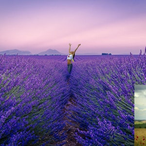 30 Lavender Photo Overlays, Flower Overlays Png, Photo Overlays ...