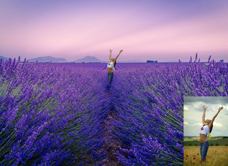 30 Lavender Photo Overlays, Flower Overlays Png, Photo Overlays ...