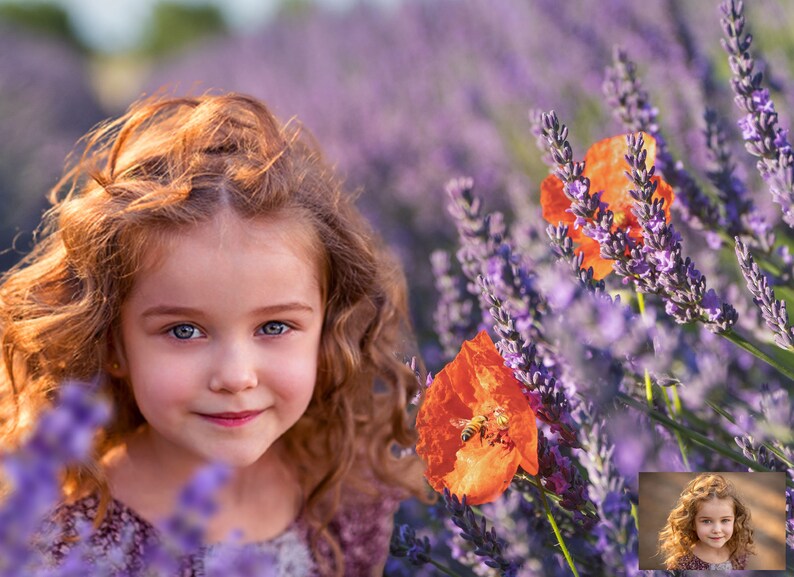 30 Lavender Photo Overlays, Flower Overlays Png, Photo Overlays ...