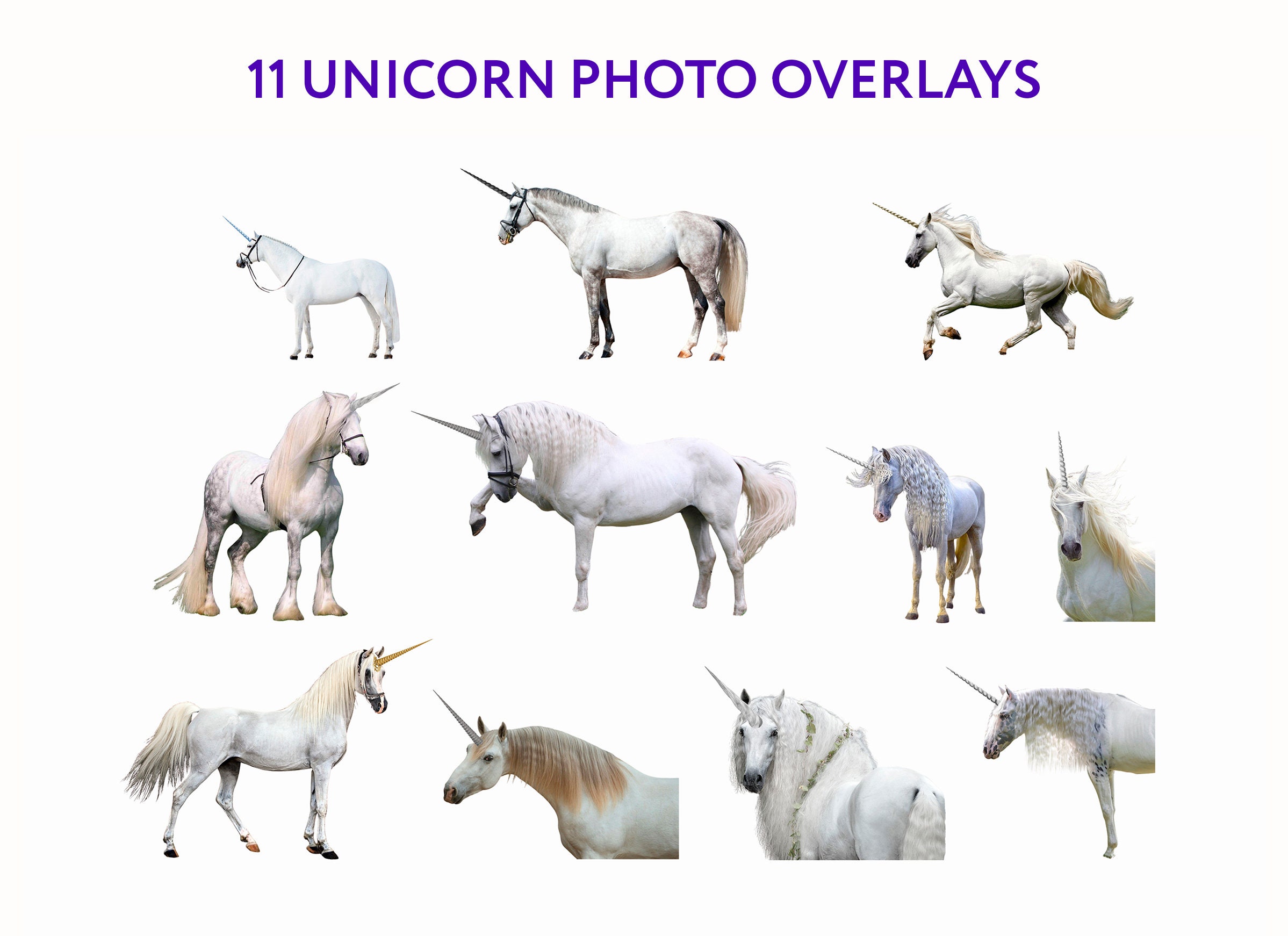 11 Unicorn Photo Overlays, Photoshop Overlay, Digital Overlay, Magic ...