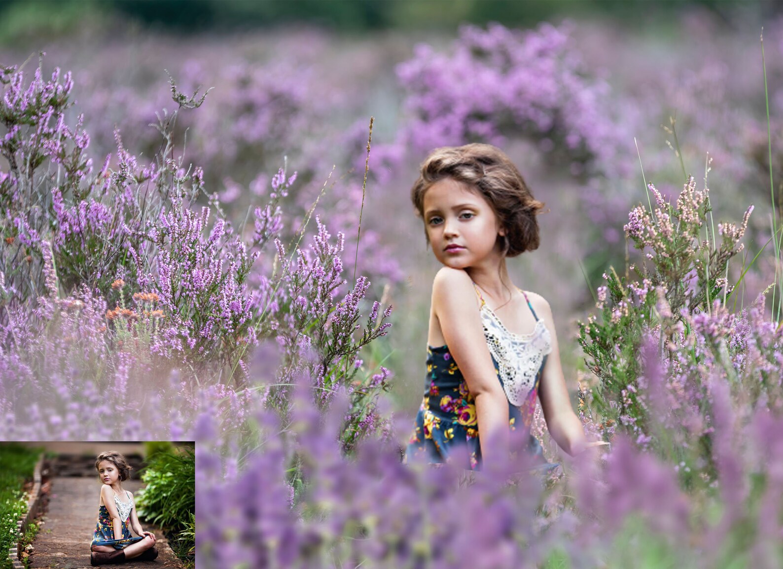 30 Lavender Photo Overlays, Flower Overlays Png, Photo Overlays ...