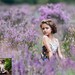 30 Lavender Photo Overlays, Flower Overlays Png, Photo Overlays ...