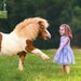 31 Pony Photo Overlays, Photoshop Overlay, Digital Overlay, Forest ...